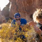 Las Vegas: Valley of Fire and Red Rock Canyon Day Trip - An In-Depth Review of the Tour Experience