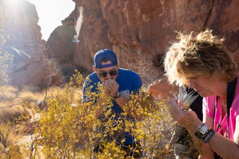 Las Vegas: Valley of Fire and Red Rock Canyon Day Trip - An In-Depth Review of the Tour Experience