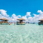Last Chance TAILFINS TIKIS 2 Hour Crab Island Tiki Tour - Authenticity and Traveler Feedback