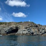 Late Season Puffin & Scenic Coastal Cruise - What to Expect on the Tour