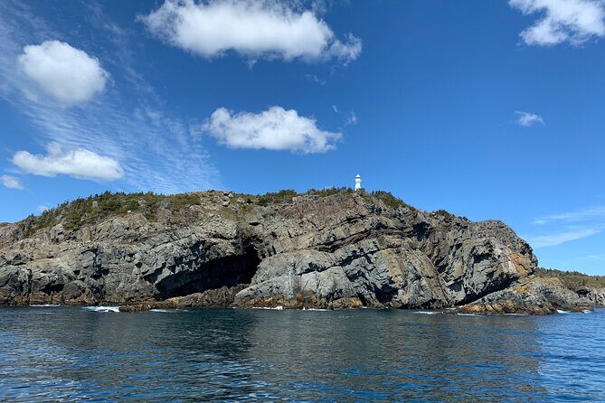 Late Season Puffin & Scenic Coastal Cruise - What to Expect on the Tour