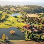 Launceston and Surroundings Day Tour Private Charter Service - The Lavender Farm: A Fragrant Ending