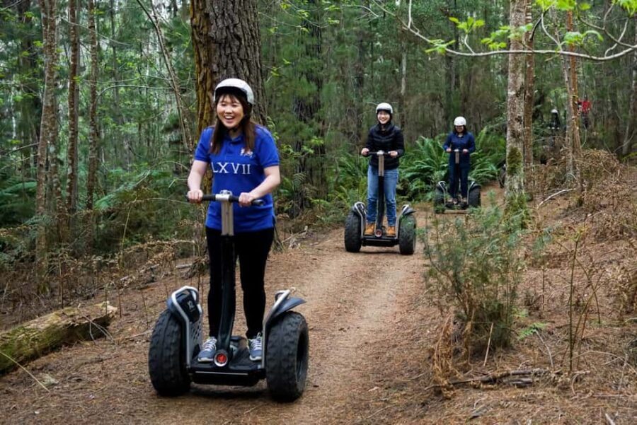 Launceston: Hollybank Forest Guided Segway Tour with Photos - Real-Life Feedback: What Visitors Say