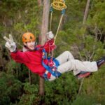 Launceston: Hollybank Forest Treetop Zip Lining with Guide - A Deeper Look at the Experience