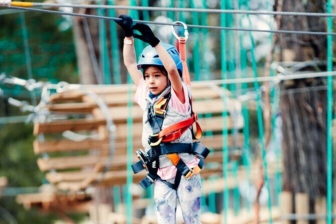 Launceston Hollybank Junior Tree Ropes Course - What You Can Expect at the Hollybank Junior Tree Ropes Course