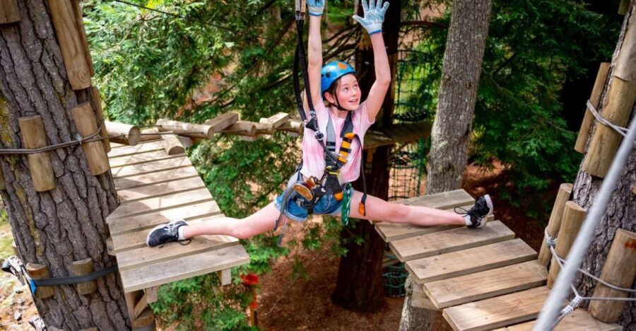 Launceston: Hollybank Tree Ropes Course - Discovering Tasmania’s First Outdoor Adventure Hub