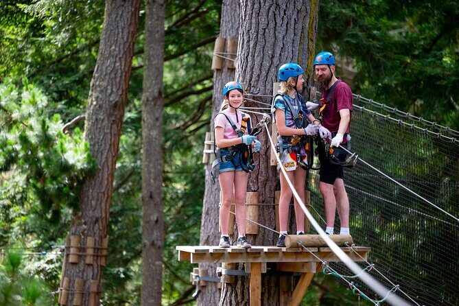 Launceston Hollybank Tree Ropes Experience - What Makes This Ropes Course Unique?