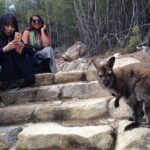 Launceston to Hobart via Wineglass Bay - Active one-way Day Tour - The Authentic Touch