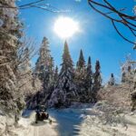 Laurentians: Snowmobile Guided Tour - Deep Dive into the Experience