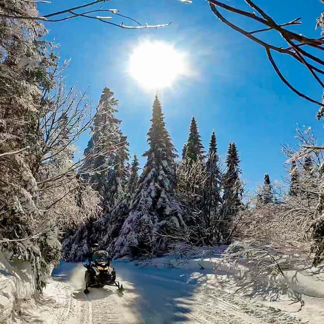 Laurentians: Snowmobile Guided Tour - Deep Dive into the Experience