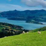 Lava Loop- Guided electric mountain bike tour in Akaroa - The Real-World Traveler Experience