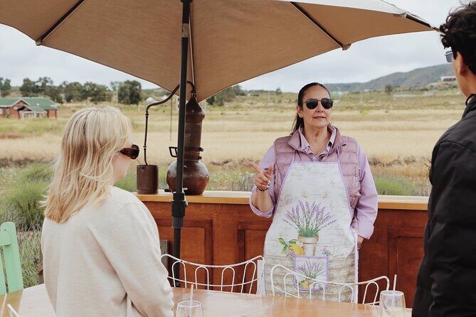 Lavender Field Guided Tour - Authentic Reviews and Real Experiences