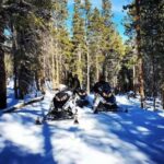 Leadville: Guided Snowmobile High Adventure Tour - Who Will Love This Tour?