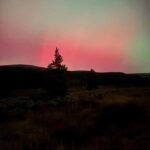 Leadville: Route of the Silver Kings Guided E-Bike Tour - Who Will Love This Experience?