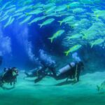Learn to Scuba Dive in Cabo San Lucas with PADI - Setting the Scene: What’s Expected Day Of
