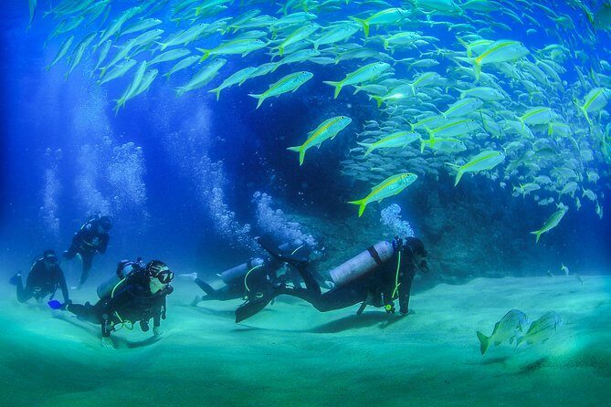 Learn to Scuba Dive in Cabo San Lucas with PADI - Setting the Scene: What’s Expected Day Of