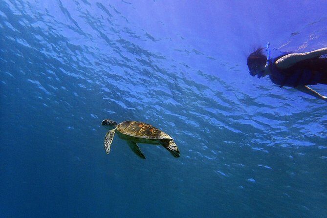 Learn to Stand Up Paddleboard! Includes 5 Star Snorkeling Tour! - The Value Proposition