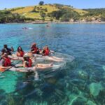 Leigh: Goat Island Clear Kayak Rental - Why Youll Love the Experience