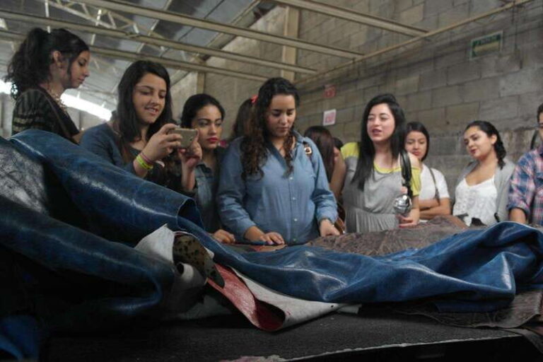 León: Leather and Footwear Industry Tour - Practical Details and What to Expect