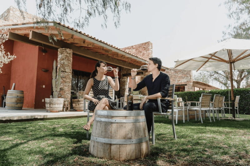 Leon: Viñedo Tierra de Luz Tour with Wine Tasting - Why the Wine Tasting Matters