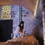 León: Wine Tour at Viñedo Leones & City Center Exploration - Who Should Consider This Tour?