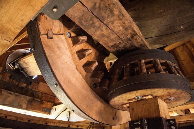 Leonardo Da Vinci's wind mill visit and Organic olive oil tasting - What to Expect and Practical Details