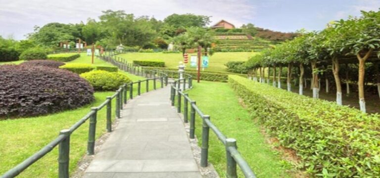 Leshan Buddha, Tea House&Mt. Emei 2 Days Private tour - What Makes This Tour Truly Valuable