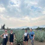 Let's eat at the Tlacolula Market on Sunday and drink Mezcal. - The Sum Up
