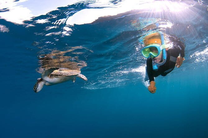 Let's swim with sea turtles in Yakushima!Snorkeling Tour - FAQ