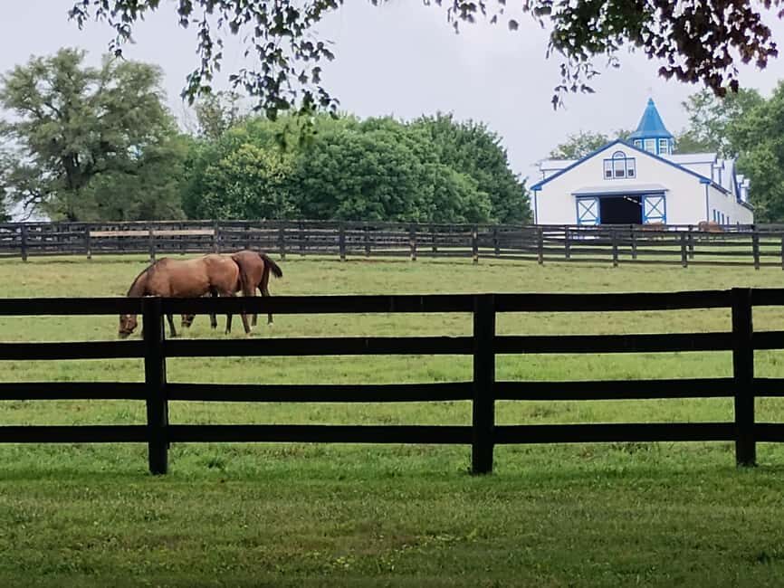 Lexington: Thoroughbred Horse Farm Tour and Scenic Bluegrass - The Tour Itinerary: What to Expect