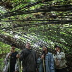 LEYTE-Mahagnao Lake Tanguile Trail and Forest Bathing - Who Would Enjoy This Tour?