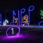 LIghts of Joy Christmas Light Drive-Thru - The Cost: Does $25 Offer Good Value?