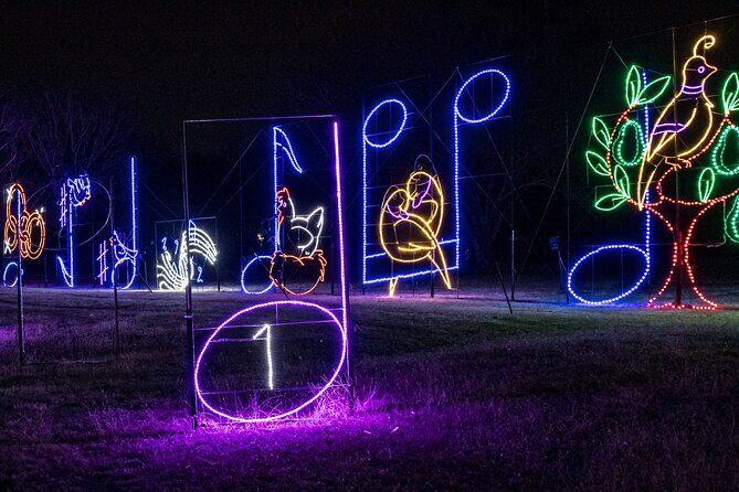 LIghts of Joy Christmas Light Drive-Thru - The Cost: Does $25 Offer Good Value?