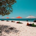 Lihaga Island (white sand island) swimming twice, including lunch and tickets - An In-Depth Look at the Lihaga Island Experience