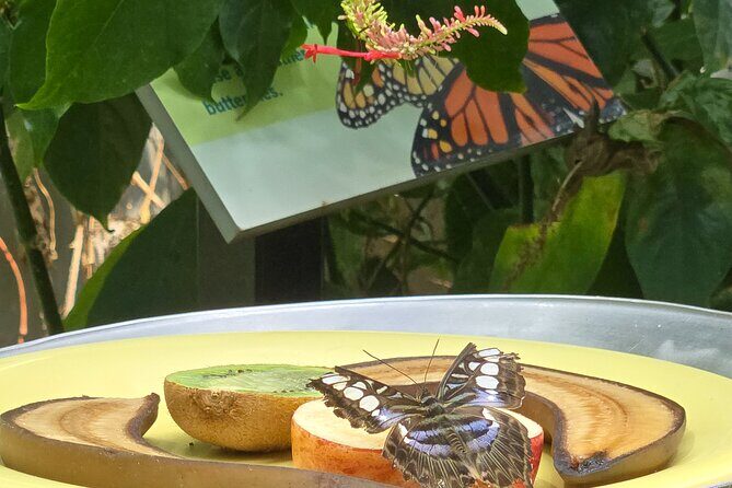 Lincoln Park Nature Museum & Zoo Private Walking Tour - Who This Tour Is Best For