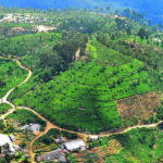 Lipton's Seat, Adisham Bungalow, Dambetenna Tea Factory Tour - Additional Optional Sights