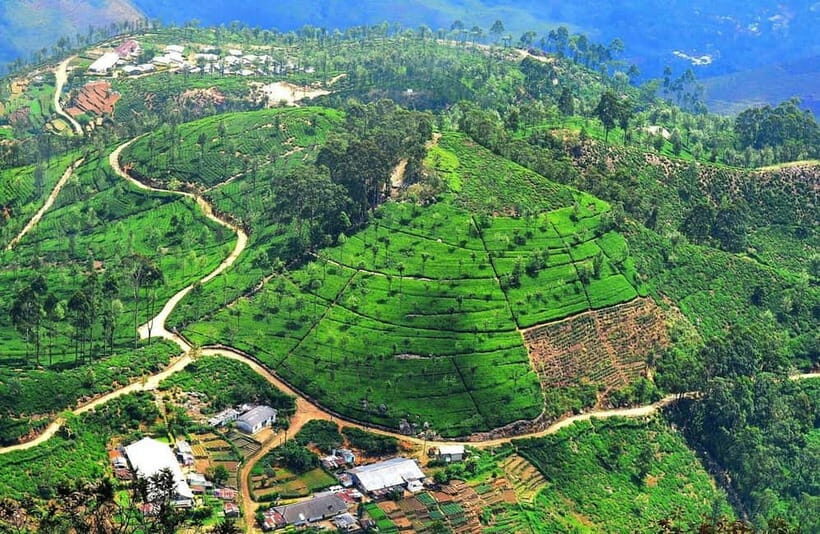 Lipton's Seat, Adisham Bungalow, Dambetenna Tea Factory Tour - Additional Optional Sights