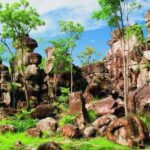 Litchfield 1 day Classic. Off road adventure. Private. VIP - What Makes This Tour Special?