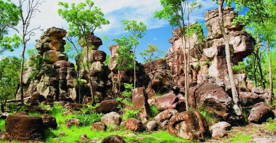 Litchfield 1 day Classic. Off road adventure. Private. VIP - What Makes This Tour Special?