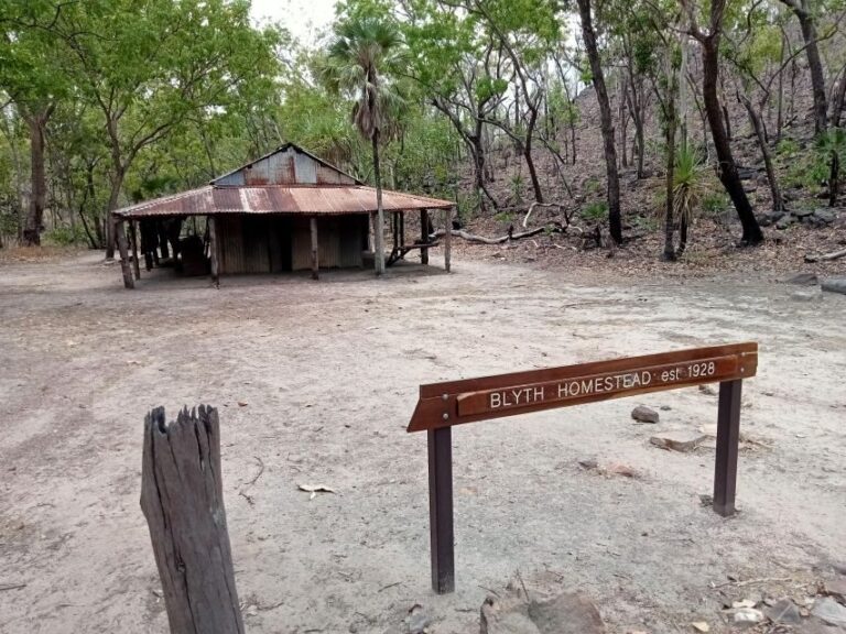 Litchfield 2 Day Tour. NT Top Adventures - Private Tour - What Sets This Tour Apart