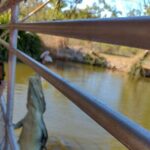 Litchfield Park & Jumping Crocodile Cruise - Using the Tour Price: Is It Good Value?