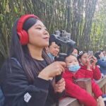 LIVE Streaming: Meet Pandas at Chengdu Research Base of Giant Panda Breeding - A Deep Dive into the Tour Experience