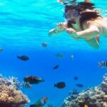 Live this unique snorkeling experience. El Cielo in Cozumel a magical tour. - Who Should Consider This Tour?