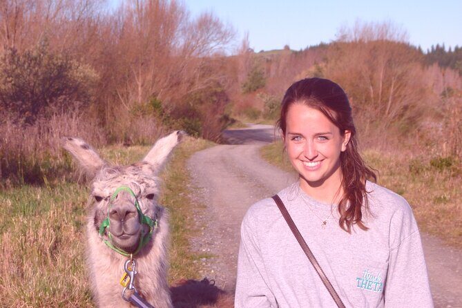 Llama Trek (Taster) - Kowhai River Valley and Native Woodland Tour - Who Would Enjoy This Tour?
