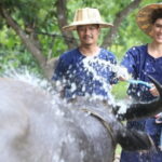 Local Farming Experience in Chiang Mai, Thailand - The Sum Up