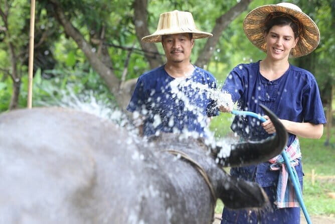 Local Farming Experience in Chiang Mai, Thailand - The Sum Up