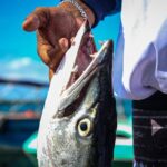 Local Fishing Plus Snorkeling Tour in Isla Mujeres - Who Should Consider This Tour?