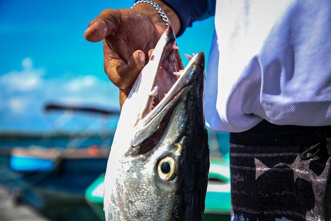 Local Fishing Plus Snorkeling Tour in Isla Mujeres - Who Should Consider This Tour?