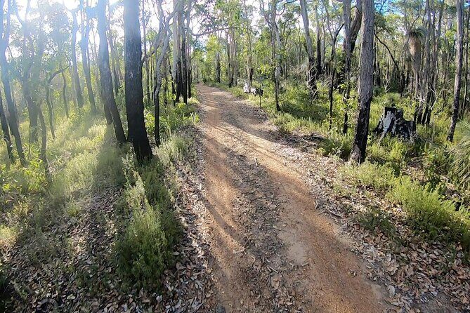 Local Gems 3 Hour MTB Small Group Tour - An Itinerary That Works