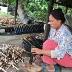 Local Livelihood Half Day Bike Tour in Battambang - An In-Depth Look at the Tour Experience